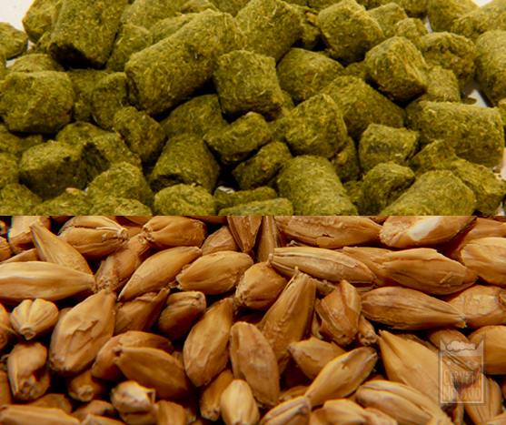 Cerveja single malt e single hop – German Pilsner - Monstro Cerveja ...